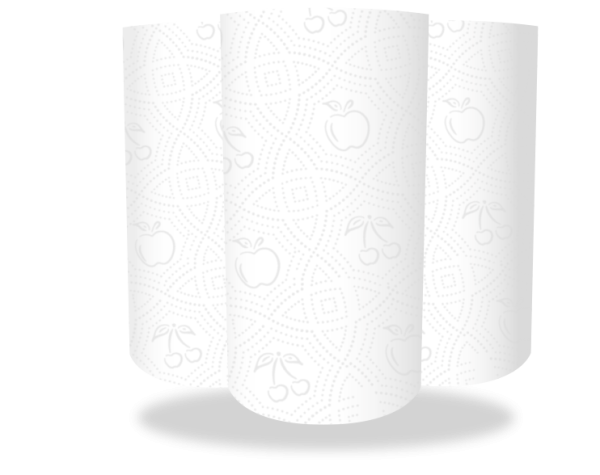 Shop Toilet Rolls, Kitchen Rolls & Eco-Friendly Paper - Nova Tissue